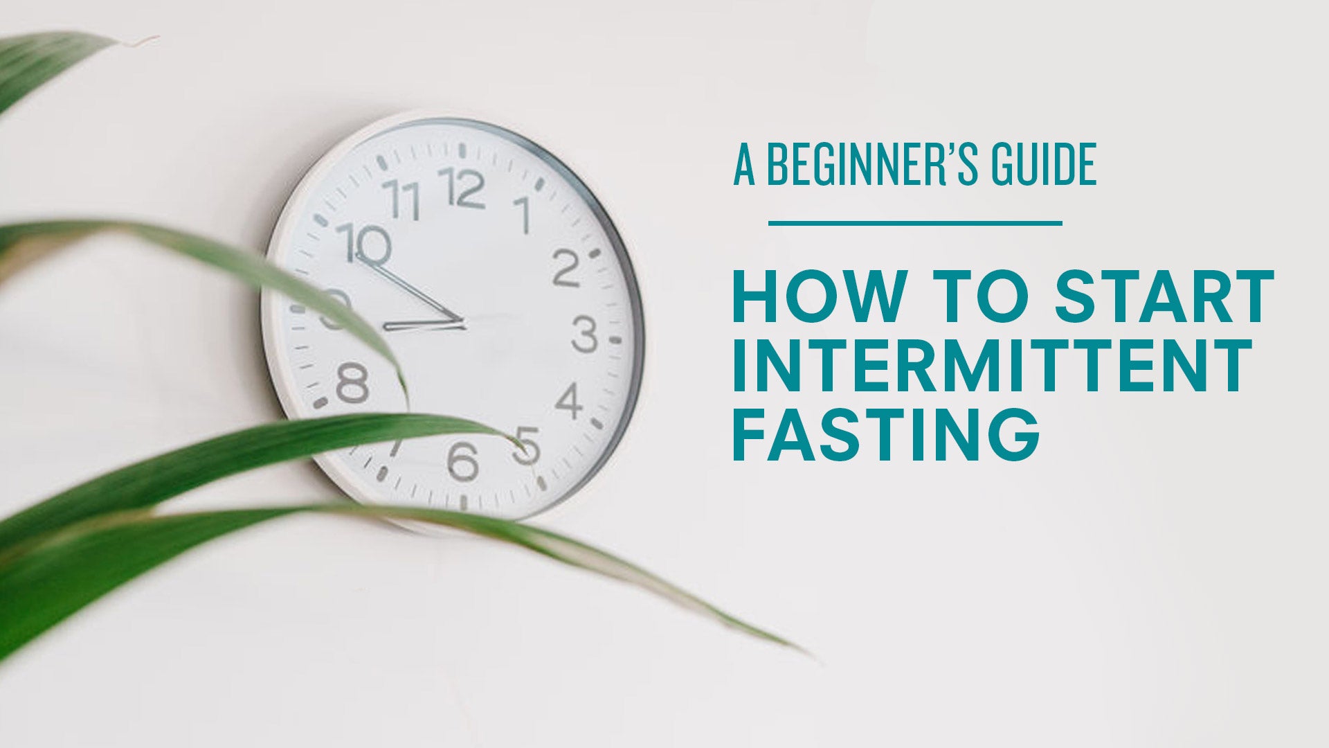 How To Start Intermittent Fasting - A Beginner’s Guide – VitaCup