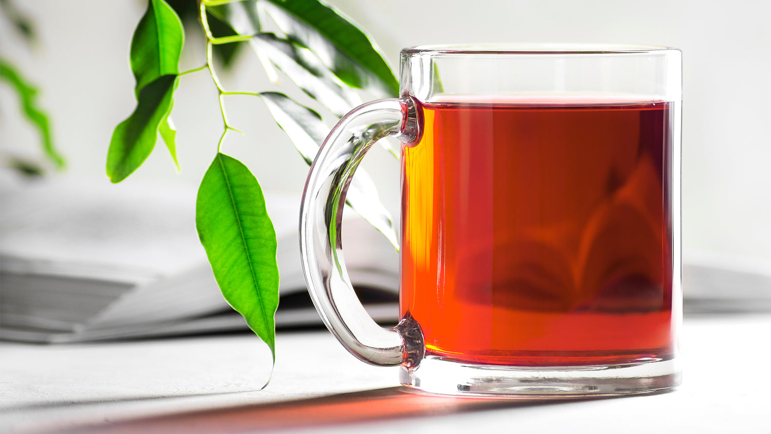 Skinny Tea: Myth vs. Facts – VitaCup